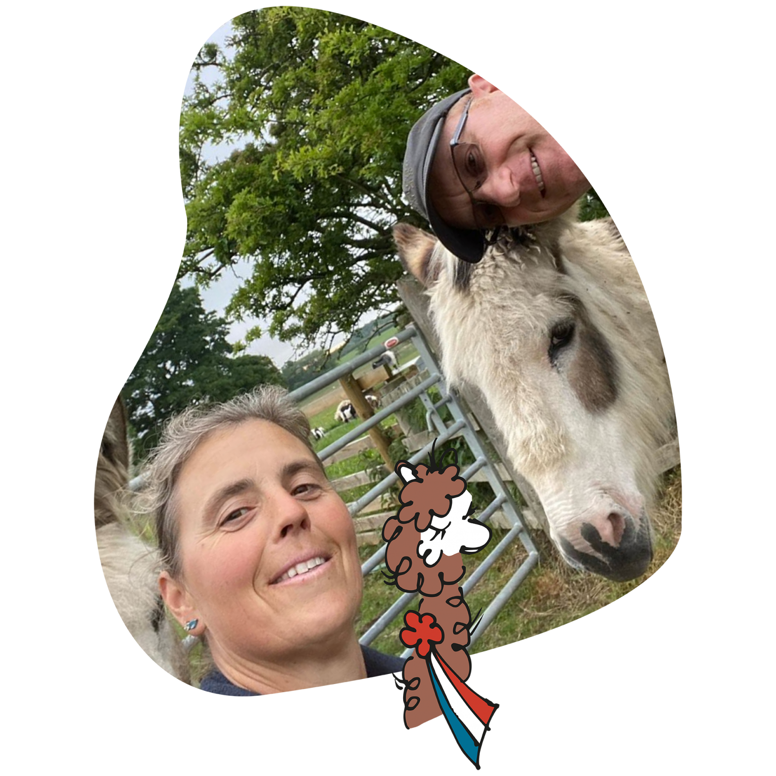 About Us - Barnacre Alpacas