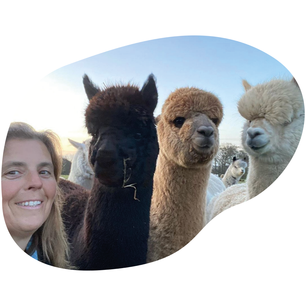 Contact - Barnacre Alpacas